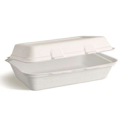 1000ml Two Compartment Sugarcane Takeaway Box – 50/500 units – L & B ...